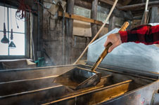 Maple Syrup